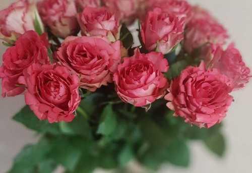 Букет из 21 ярко-розовой розы 50 см