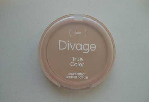 Компактная пудра Divage True Color matte effect то