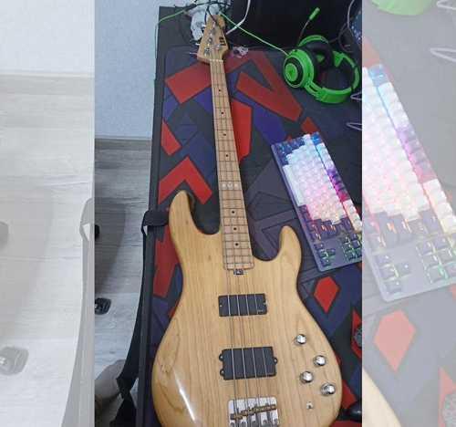 ESP LTD surveyor - 400