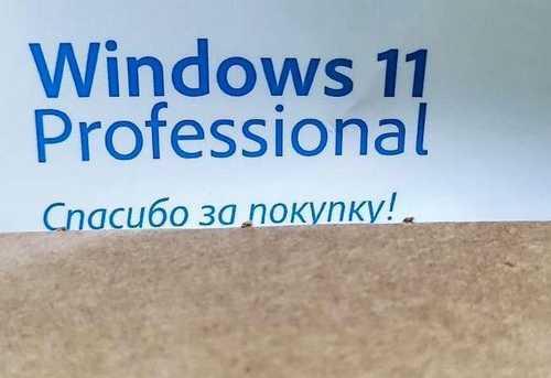 Windows 11 pro