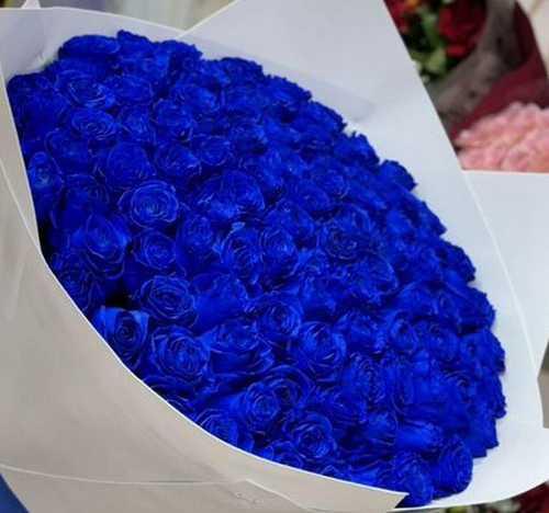 Розы.синие розы.бомбические букеты роз.доставка
