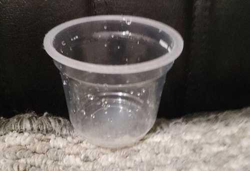 Пластиковый стаканчик под рассаду