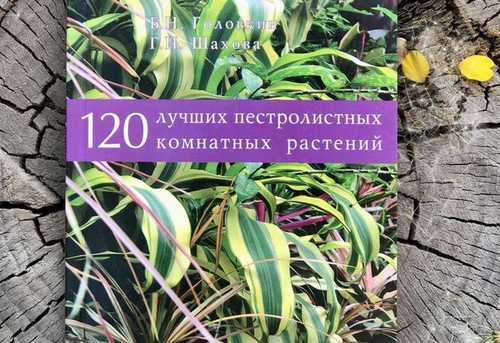120 лучших пестролистых комнатных растений