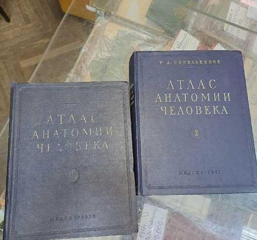 Синельников Р. Д.Атлас анатомии человека