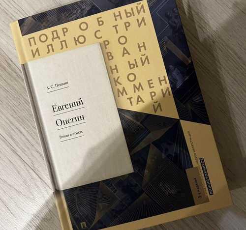 Книги. Подробный иллюстрированный комментарий