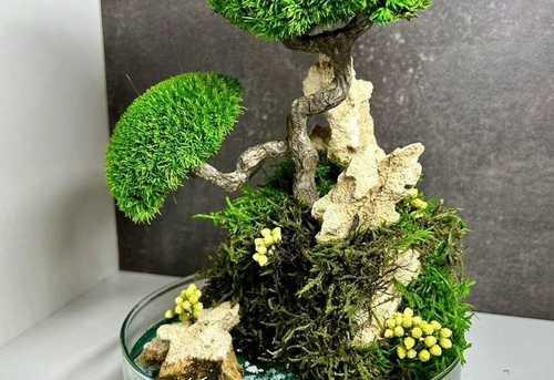 Моссариум с деревом в стиле "бонсай"
