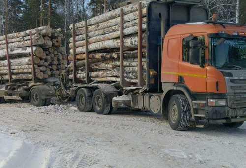 Дрова берёзовые в хлыстах