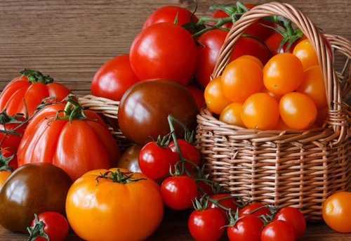 Семена томатов более 200 сортов доставка