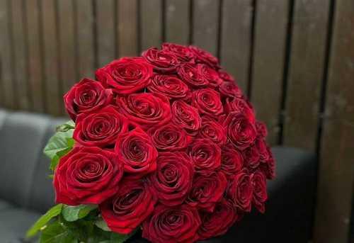 31 высокая красная роза