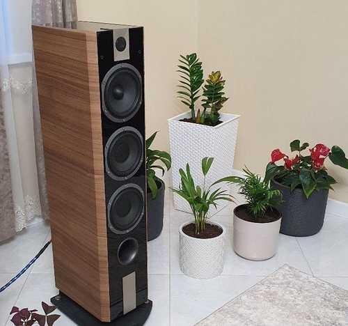 Акустические напольные колонки Focal Chorus 826V