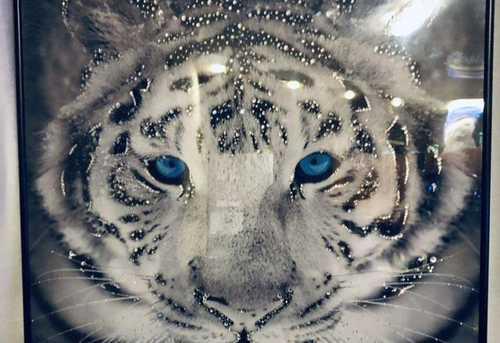 Картина белый тигр с кристалами
