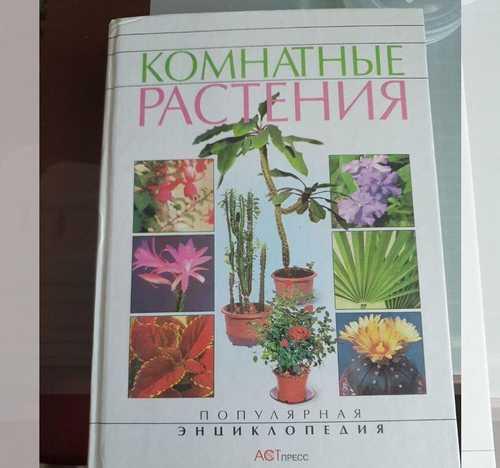 Книга