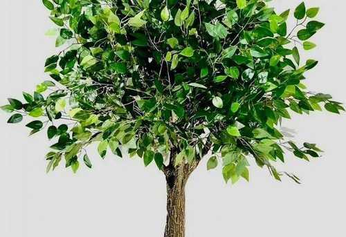 Искуственное дерево "Фикус" 1,6 м