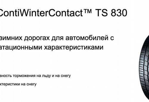 Continental ContiWinterContact TS 830 P 285/30 R19 98V