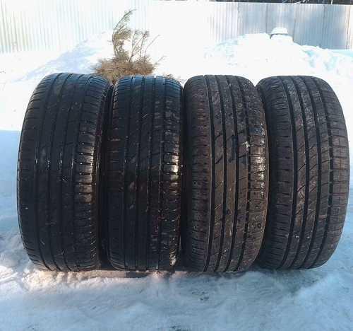 Ikon Tyres Nordman SX3 205/55 R16