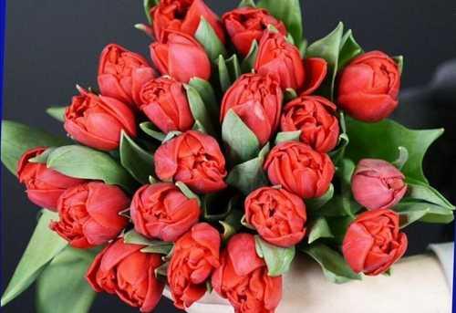 Прекрасные тюльпаны для любимых дам