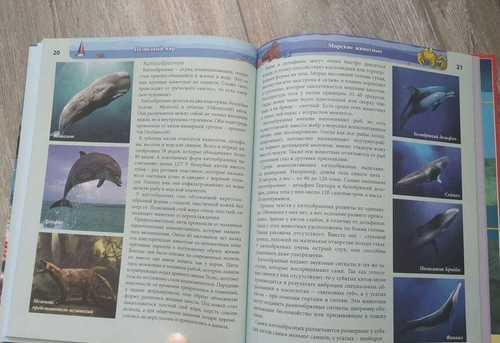 Книга энциклопедия об океанах и морях