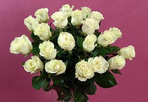 Букет белых роз, Эквадор, 70см 21 шт