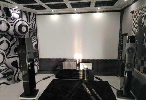 Dynaudio confidence platinum C2