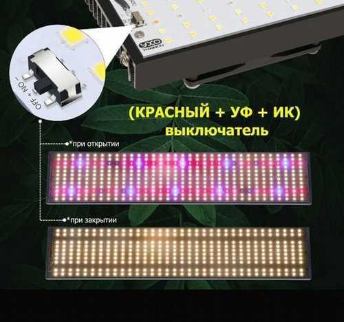 240W 3500k Samsung Lm301h Quantum Board LED