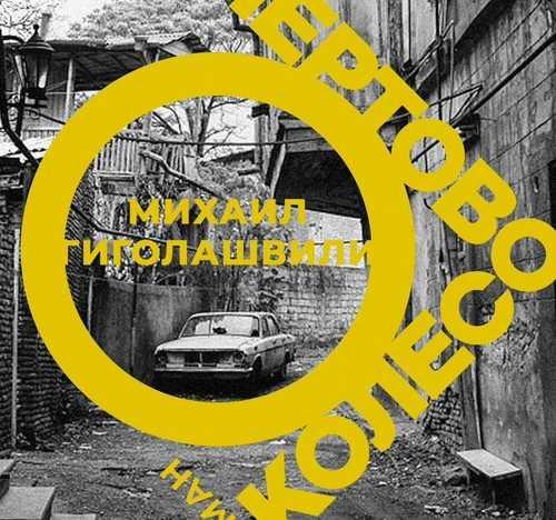 Гиголашвили и Набоков для Игоря