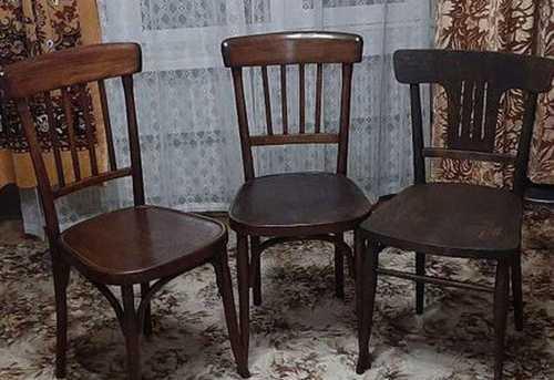 Венские стулья антиквариат