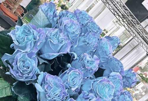 Голубой роз из Эквадора