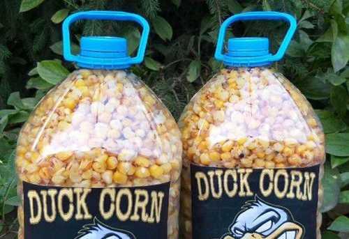 Кукуруза ферментированная T&J ducks corn-carp food