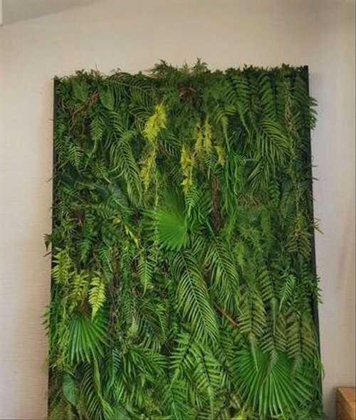 Стена из растений фитостена растения искусственные