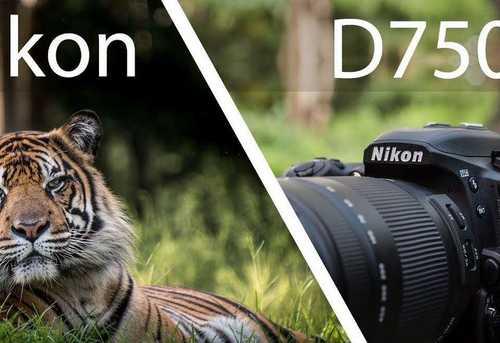 Nikon D7500 + Sigma 18-35 Art