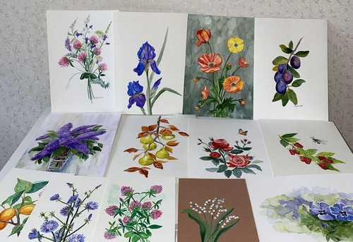 Картины акварелью Разнообразные цветы