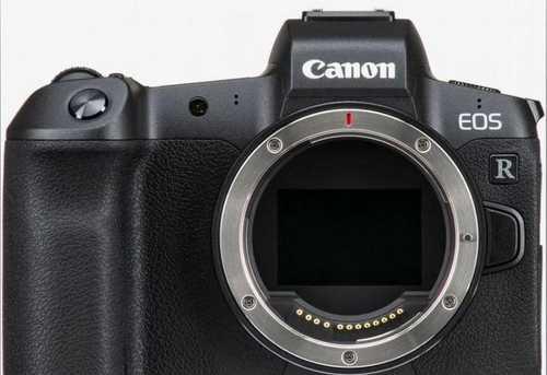 Canon EOS R body