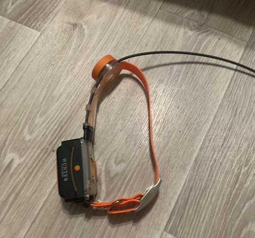 Gps ошейник для охоты
