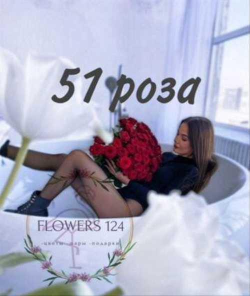 Цветы красные розы Flowers124