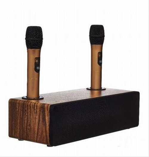 Караоке-система Mojo Pro 2 радио микрофона, 120 Вт