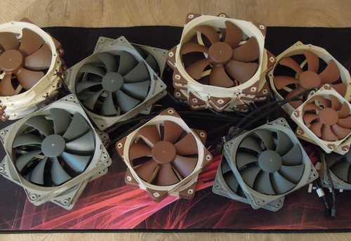 Noctua Premium Fan 120mm & 140mm