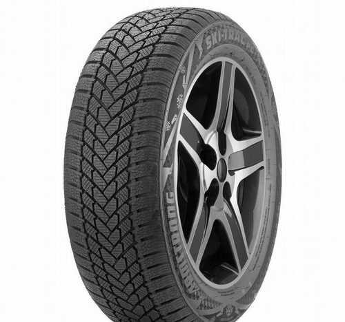 Armstrong Ski-Trac PC 175/70 R14