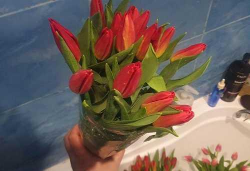 Букет тюльпанов 15шт