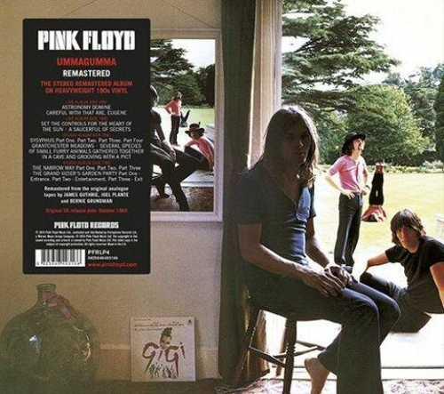 Виниловая пластинка Pink Floyd / Ummagumma (2LP)