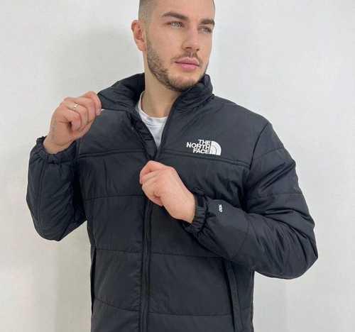 Куртка мужская The north face 700