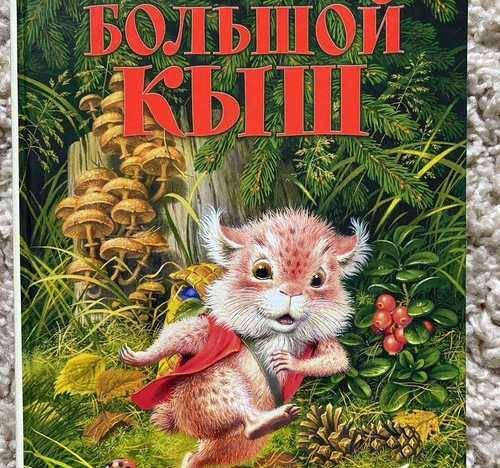Книга Большой Кыш