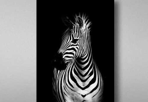 Картина маслом на холсте черно-белая зебра