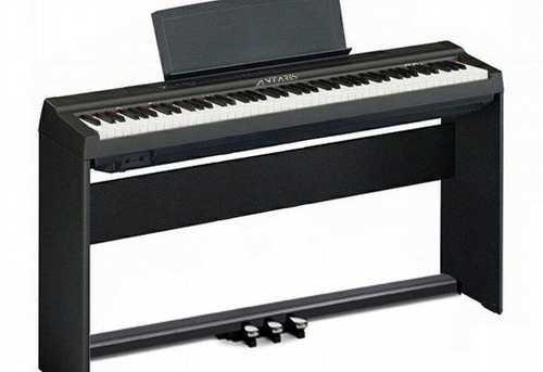 Antares D-360 Black цифровое пианино + стойка