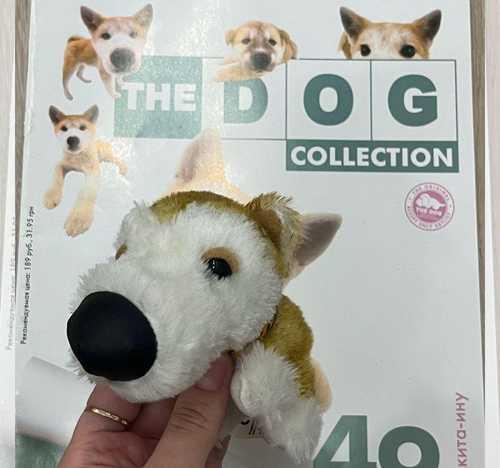 Акита ину The Dog Collection