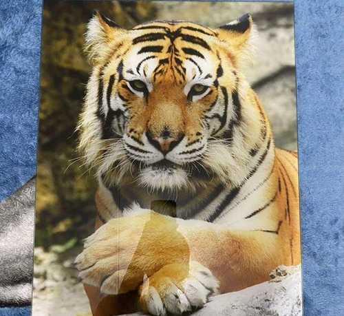 Стеклянная картина тигр
