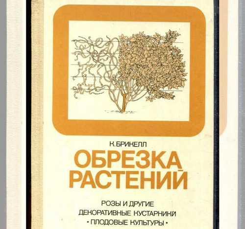 Обрезка растений Розы и другие декоративные куставники. Плодовые культуры