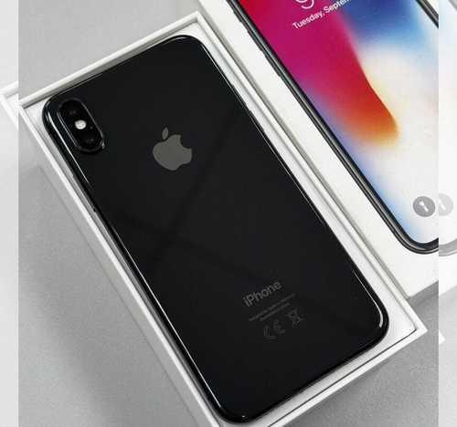 iPhone X, 64 ГБ