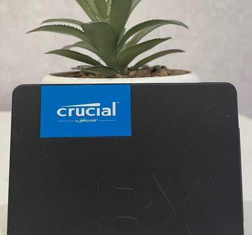 SSD Crucial BX500 240GB