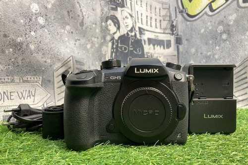 Panasonic Lumix GH5 Покупка/Продажа