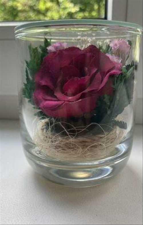 Флорариум роза в стекле сувенир